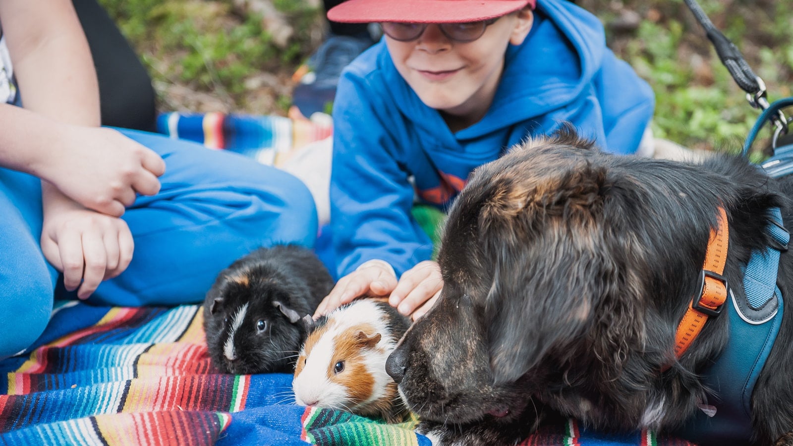 Piispala – Visit Jyväskylä Region