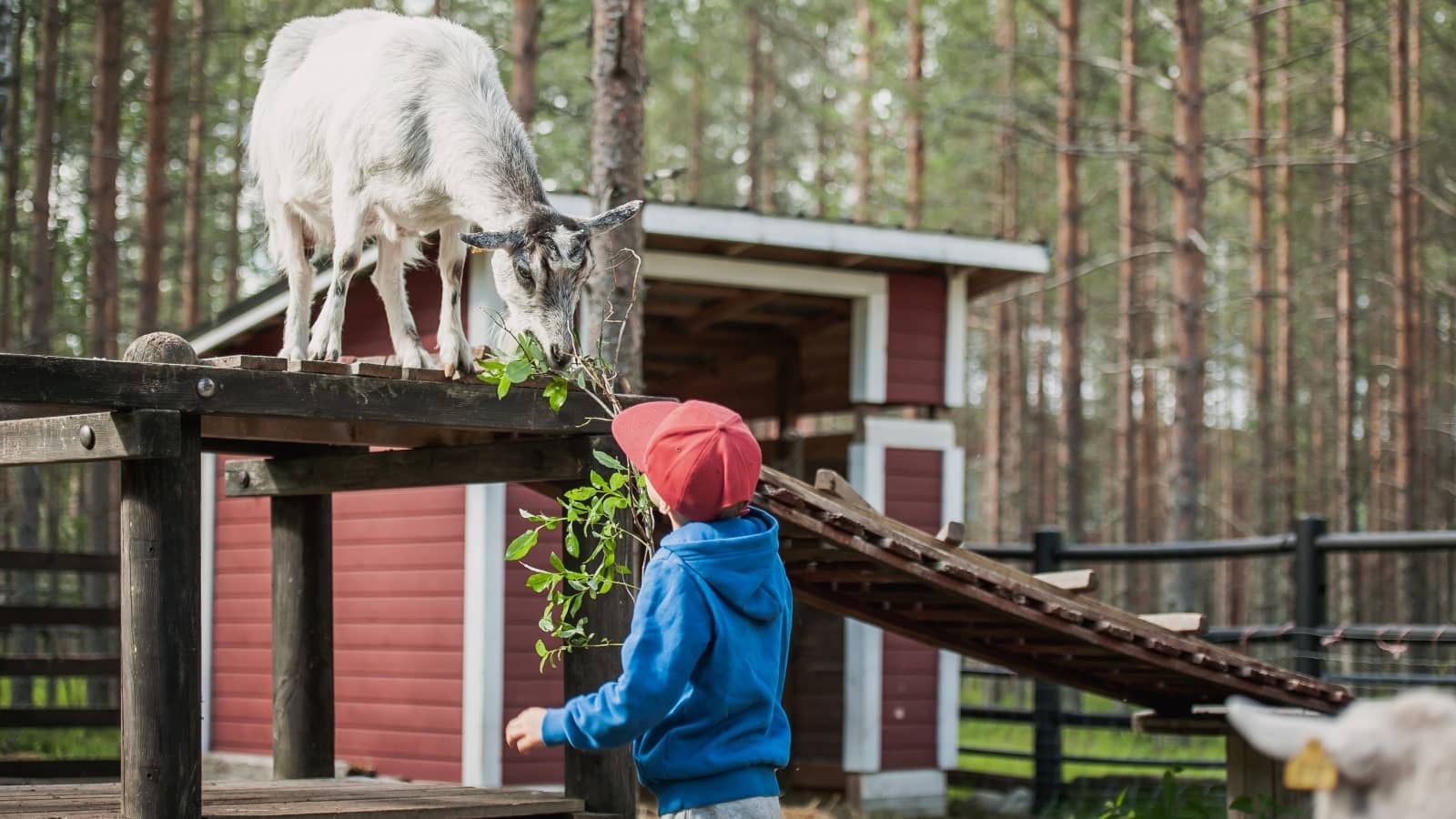 Piispala Resort Area – Visit Jyväskylä Region