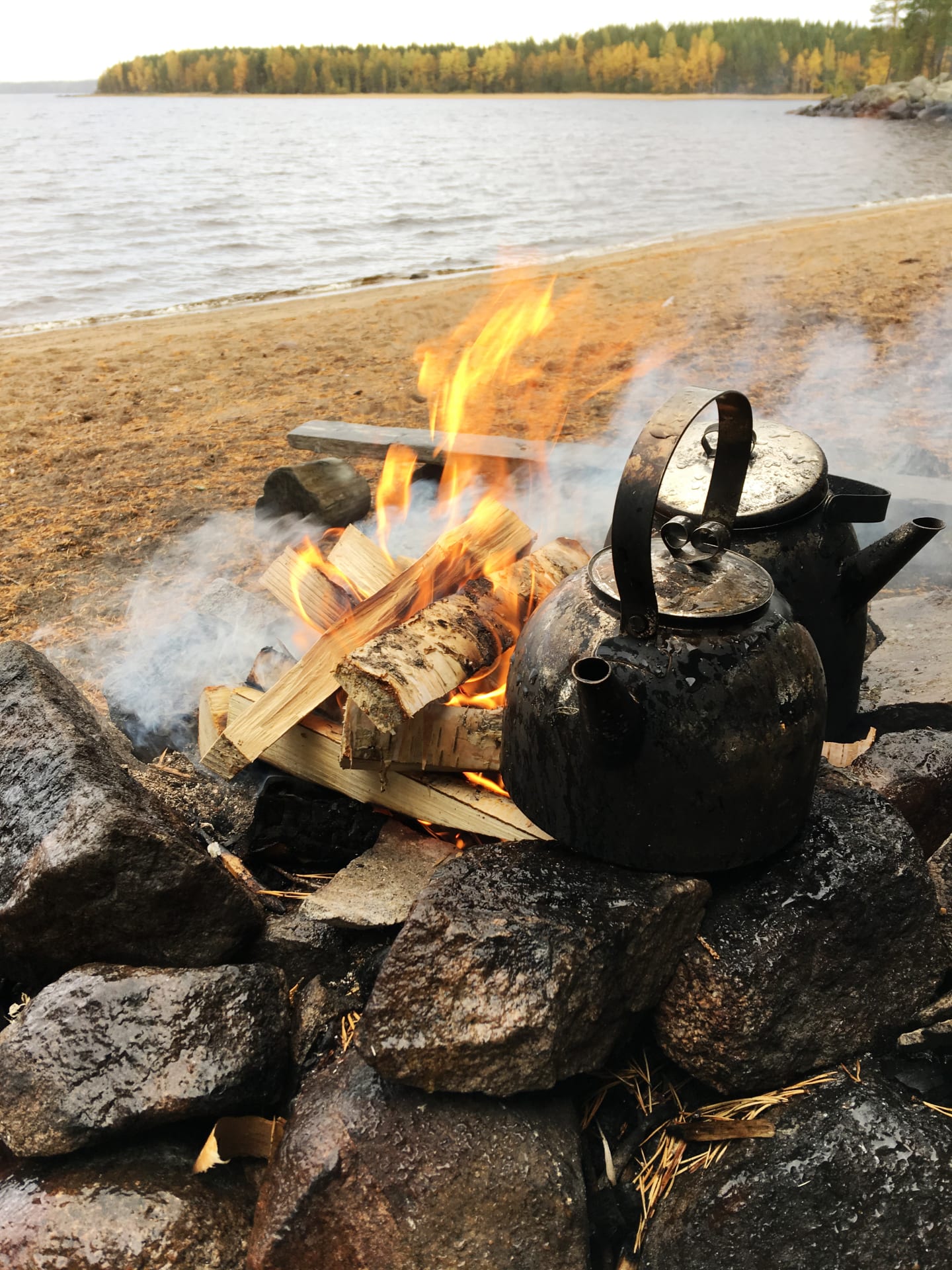 Survivor Skills and Nature Experiences in Piispala – Visit Jyväskylä Region